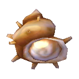 Turban shell/Gallery - Animal Crossing Wiki - Nookipedia