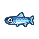 Anchovy (fish)/Gallery - Animal Crossing Wiki - Nookipedia