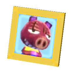 Rasher's pic (New Leaf) - Animal Crossing Wiki - Nookipedia