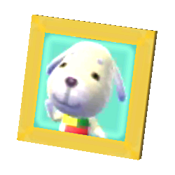 Daisy's pic (New Leaf) - Animal Crossing Wiki - Nookipedia