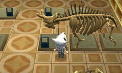 Category:New Leaf fossil screenshots - Animal Crossing Wiki - Nookipedia