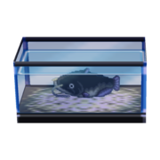 Giant catfish/Gallery - Animal Crossing Wiki - Nookipedia