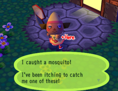 Category:Animal Crossing caught bug screenshots - Animal Crossing Wiki ...