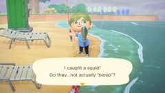 Squid/Gallery - Animal Crossing Wiki - Nookipedia
