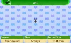 Ant/Gallery - Animal Crossing Wiki - Nookipedia