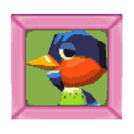 Robin's pic (Wild World) - Animal Crossing Wiki - Nookipedia