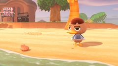 Weber/Gallery - Nookipedia, the Animal Crossing wiki