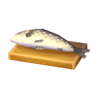 Animal Crossing New Leaf Fish