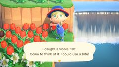 Nibble fish/Gallery - Animal Crossing Wiki - Nookipedia