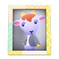 Kidd's photo (New Horizons) - Animal Crossing Wiki - Nookipedia
