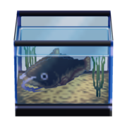 Catfish/Gallery - Animal Crossing Wiki - Nookipedia