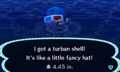 Turban shell/Gallery - Animal Crossing Wiki - Nookipedia