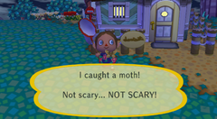 Moth/Gallery - Animal Crossing Wiki - Nookipedia