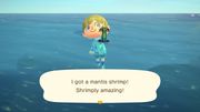 Category:New Horizons caught sea creature screenshots - Animal Crossing ...