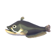 Catfish/Gallery - Animal Crossing Wiki - Nookipedia