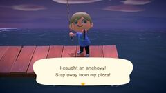 Anchovy (fish)/Gallery - Animal Crossing Wiki - Nookipedia