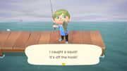 Squid/Gallery - Animal Crossing Wiki - Nookipedia