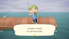 Squid/Gallery - Animal Crossing Wiki - Nookipedia