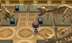 Category:New Leaf fossil screenshots - Animal Crossing Wiki - Nookipedia
