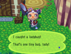 Ladybug (Animal Crossing)/Gallery - Animal Crossing Wiki - Nookipedia