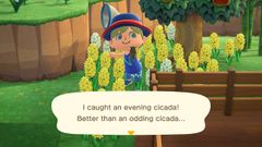 Evening cicada/Gallery - Animal Crossing Wiki - Nookipedia