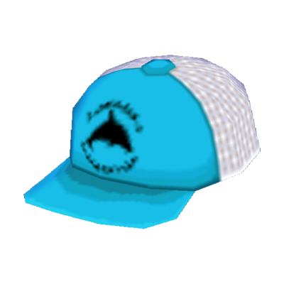 Light blue cap (City Folk) - Animal Crossing Wiki - Nookipedia