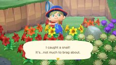 Snail/Gallery - Animal Crossing Wiki - Nookipedia