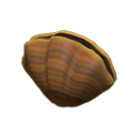 Shell lamp (New Horizons) - Animal Crossing Wiki - Nookipedia