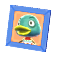 Drake's pic (New Leaf) - Animal Crossing Wiki - Nookipedia