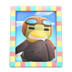 Boomer's photo (New Horizons) - Animal Crossing Wiki - Nookipedia
