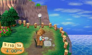 Animal Crossing New Leaf Stores