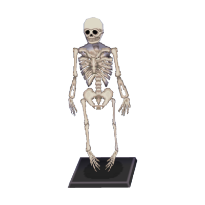 Skeleton (City Folk) - Animal Crossing Wiki - Nookipedia