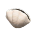 Shell lamp (New Horizons) - Animal Crossing Wiki - Nookipedia